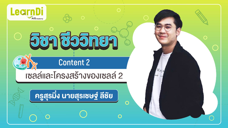 เซลล์และโครงส้รางของเซลล์ PART 2